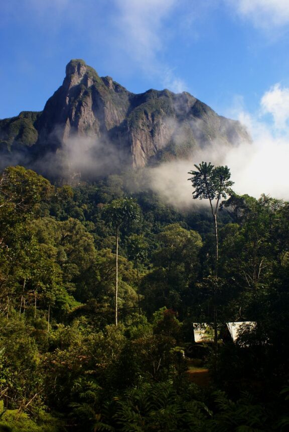 Must visit sites and parks in sava, the most beautiful region in Madagascar