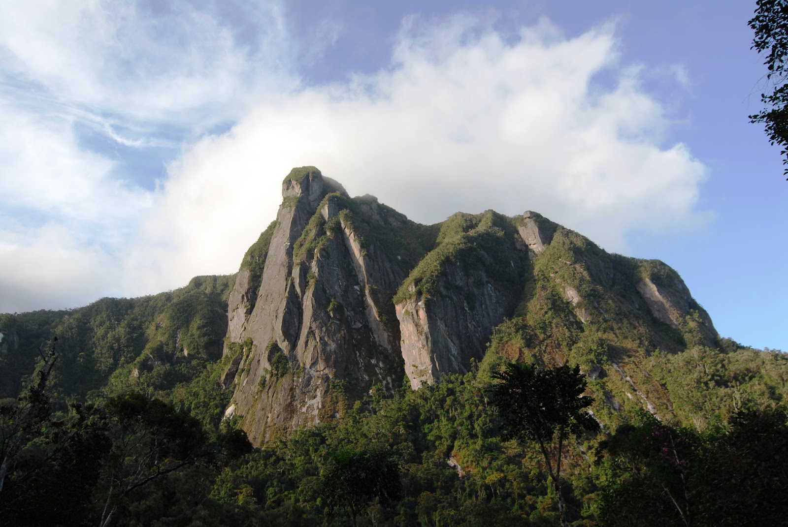 Must visit sites and parks in sava, the most beautiful region in Madagascar